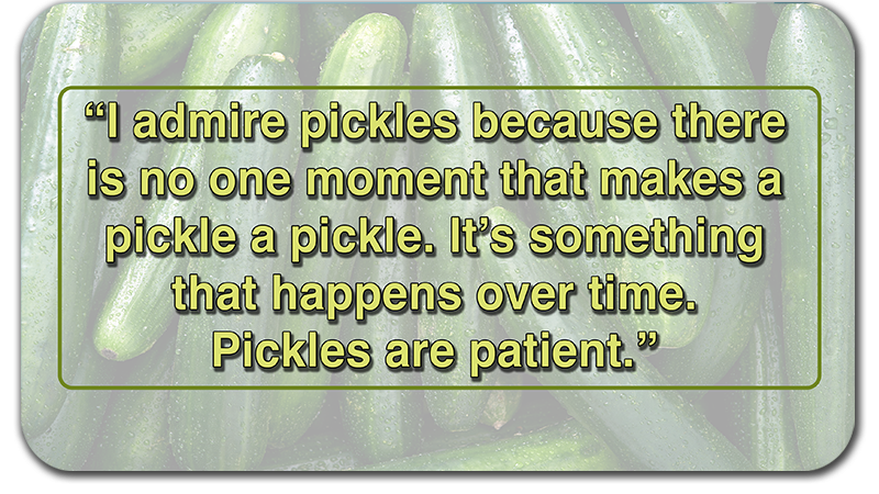 Pickle Quotes Dill With It! Svg Funny Pickle Cute Kids Funny Baby